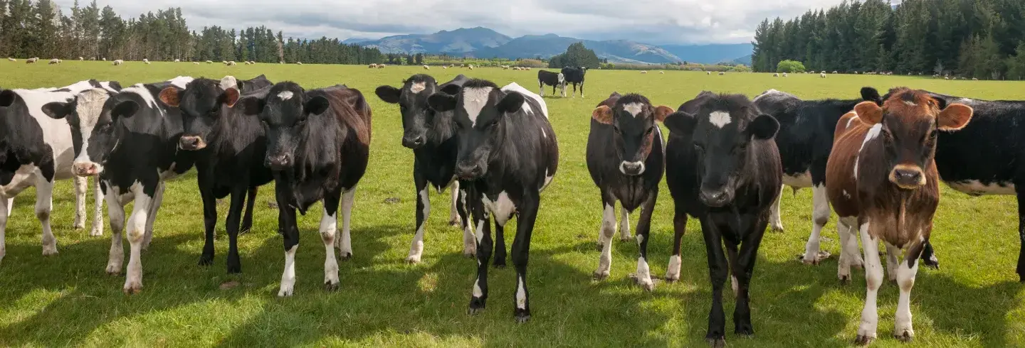 How Fonterra and HCLTech forged a strong, trust - based partnership ...