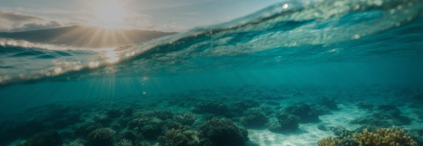 Analyzing data to improve water quality
