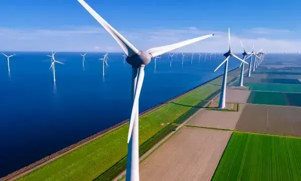 Implementing Net Zero: From Promise to Reality