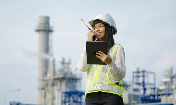 Digital utility: Adapting to the new reality in energy and utilities