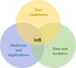 Figure 2- Ingredients for IoB